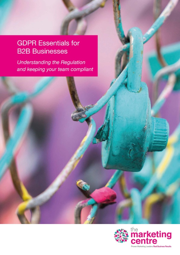 GDPR Essentials for B2B Businesses